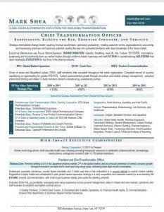 Chief Transformation Officer Resume Example | CTO Executive Resume